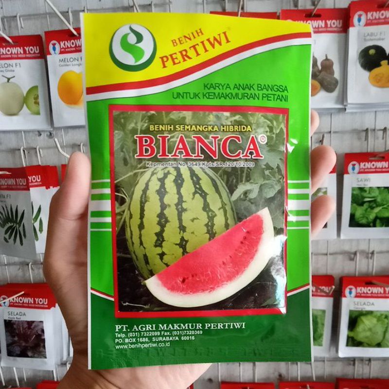 Jual Benih Semangka Merah Bianca F1 Isi 20gr | Shopee Indonesia