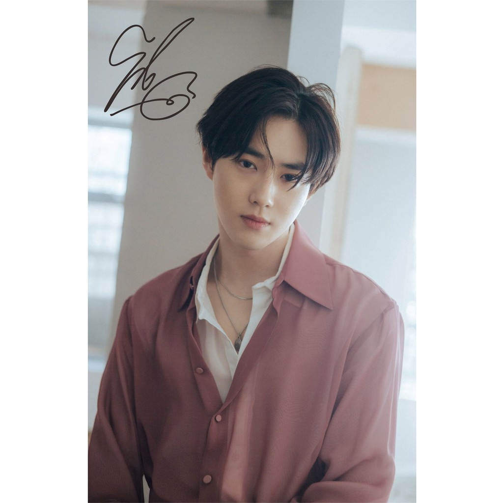 Jual POSTER EXO SUHO SELF POTRAIT DENGAN TANDA TANGAN UKURAN A3 ...