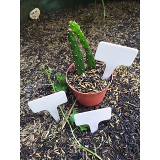Jual White PVC Plant Label Name Tag Plastik Tanaman Hias Semai Benih Bibit - SKU 2.007.0150 ...