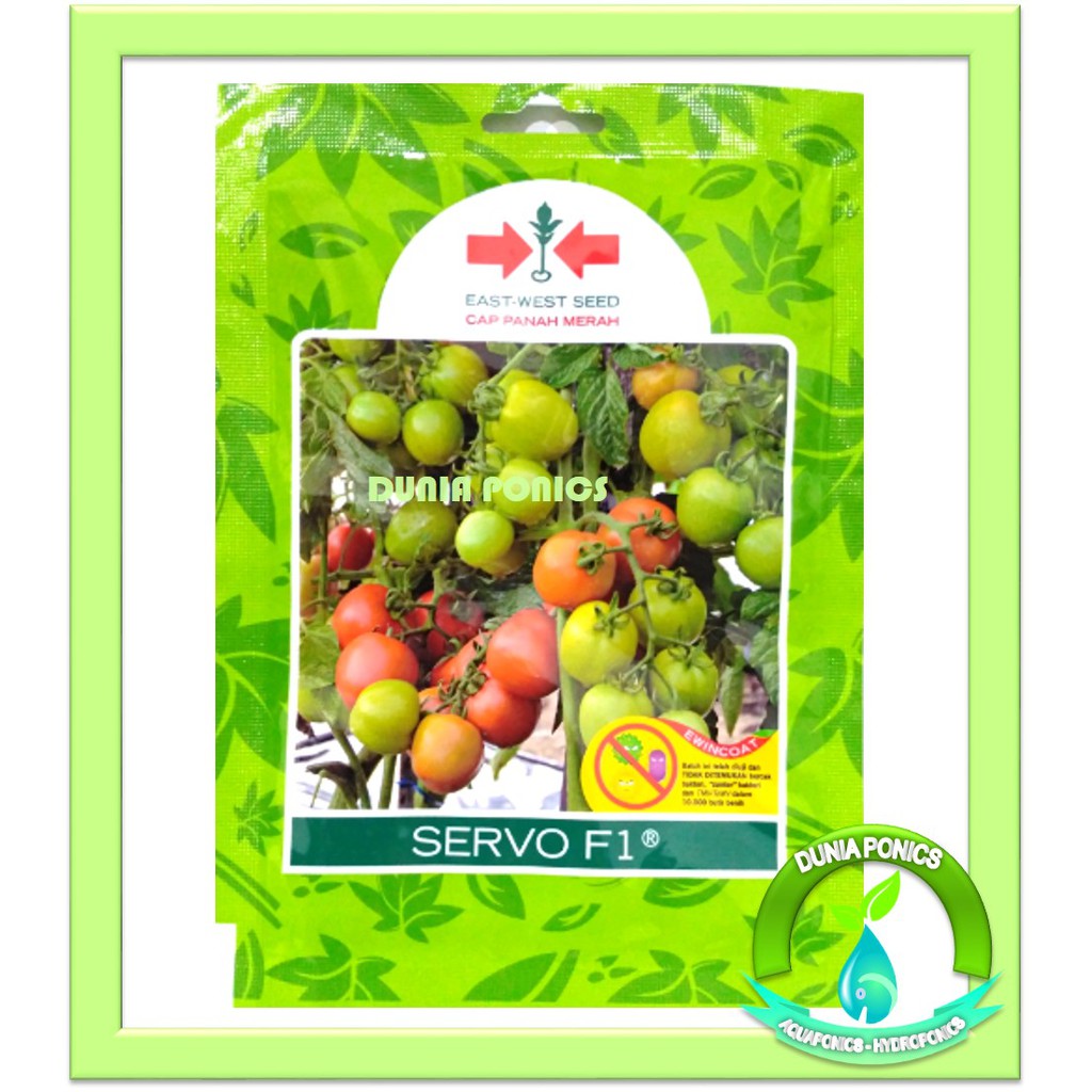 Jual Benih Tomat SERVO F1 Cap Panah Merah Kemasan Asli Small Pouch 1 ...
