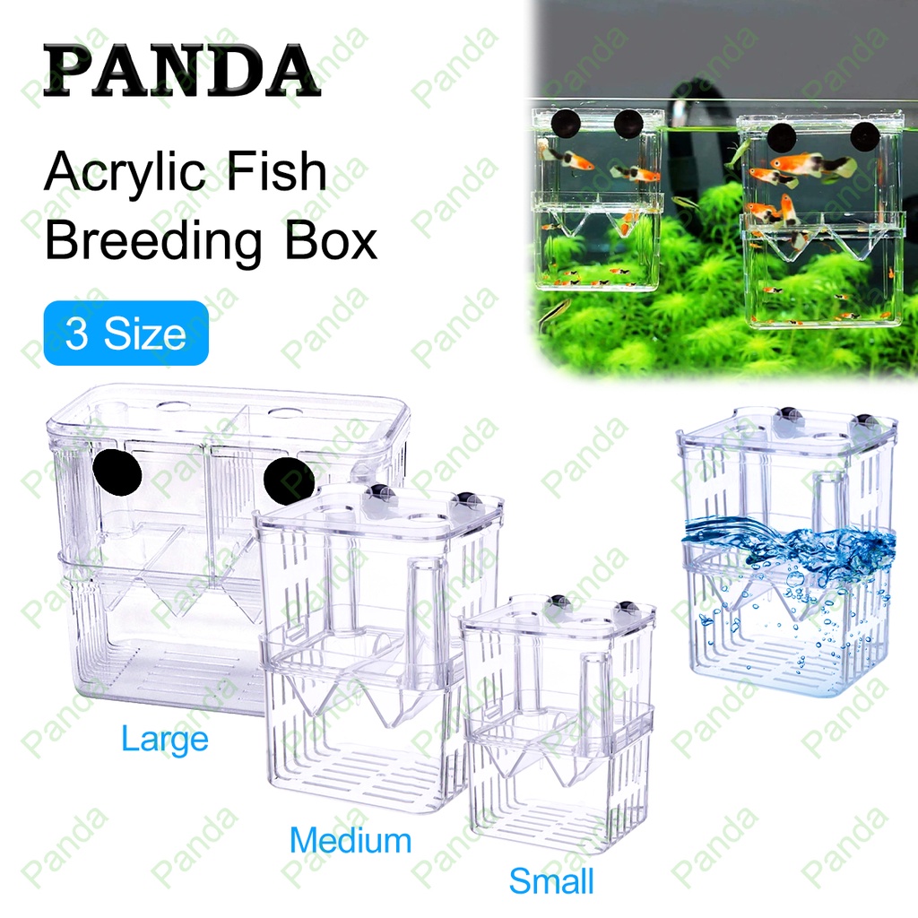 Jual Guppy Breeding Hatching Isolation Box S/M/L Size Karantina ikan ...