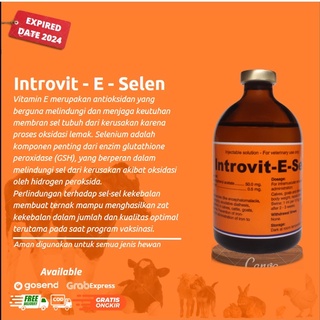 Jual Obat antioksidan untuk ternak (Introvit E Selen-Vitamin E ...