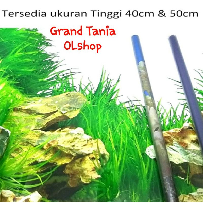 Jual Background aquarium, Wallpaper aquarium 2 sisi gambar,bahan tebal ...