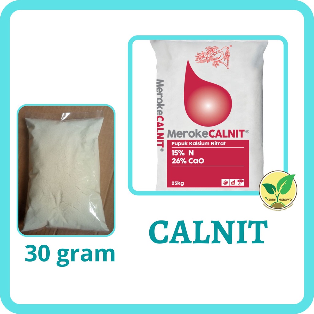 Jual Pupuk Meroke Calnit Pupuk Kalsium Nitrat Nutrisi Pertumbuhan ...
