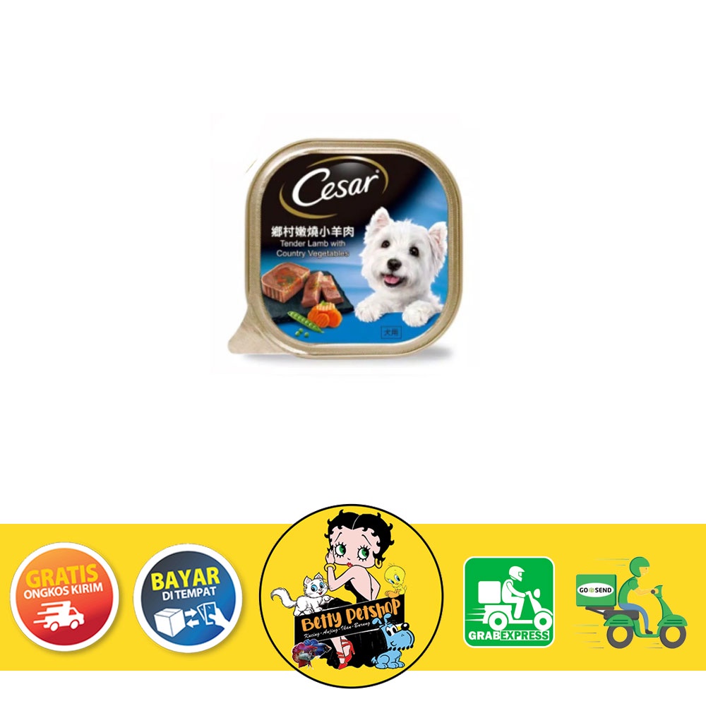 Jual MAKANAN ANJING CESAR TENDER LAMB & VEGETABLES 100GR | Shopee Indonesia