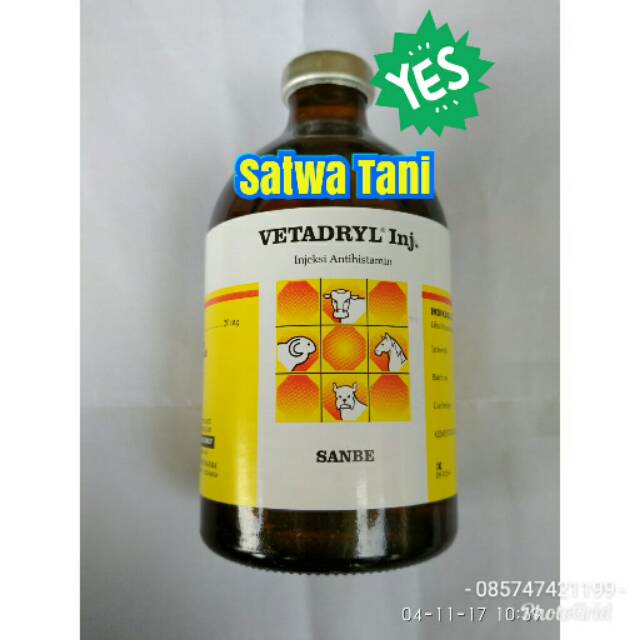 Jual VETADRYL Inj. 100 ml (Injeksi Antihistamin) | Shopee Indonesia