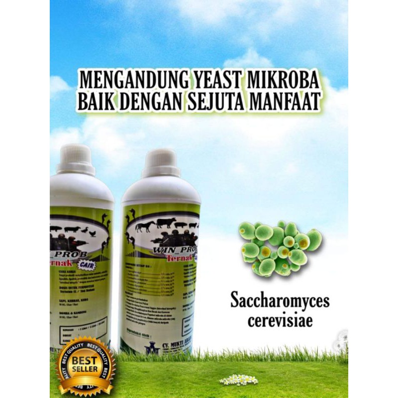 Jual WinProb Probiotik 1L untuk fermentasi | Shopee Indonesia