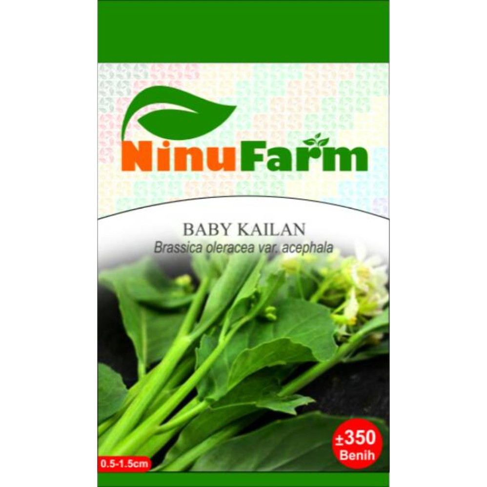 Jual Benih Bibit Sayur Baby Kailan Ninufarm (350 Butir) Indonesia ...