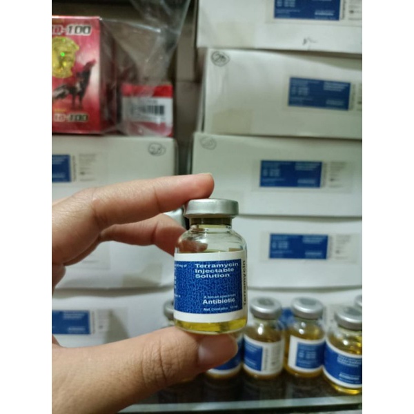 Jual teramisin 1 box (24pc) | Shopee Indonesia