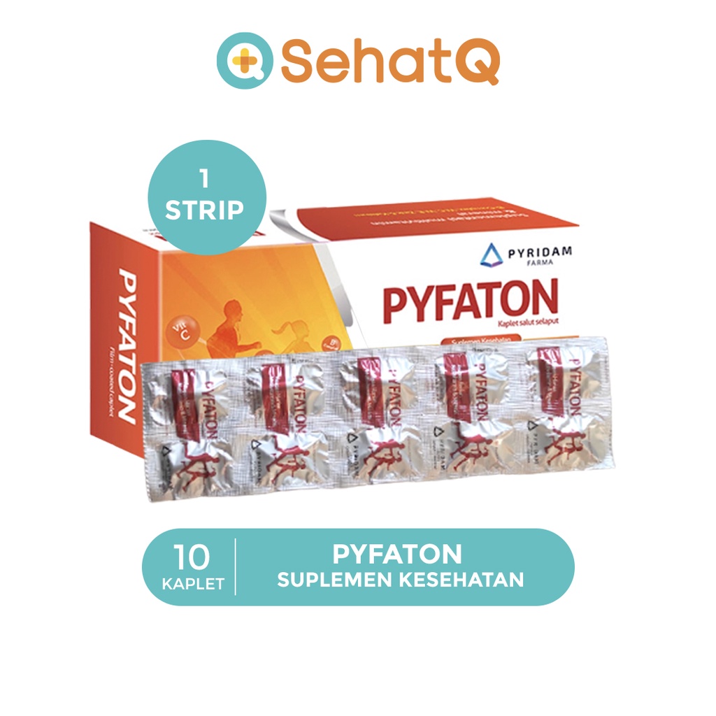 Jual Pyfaton Kaplet Suplemen Multivitamin dan Zinc (10 Kaplet) | Shopee ...