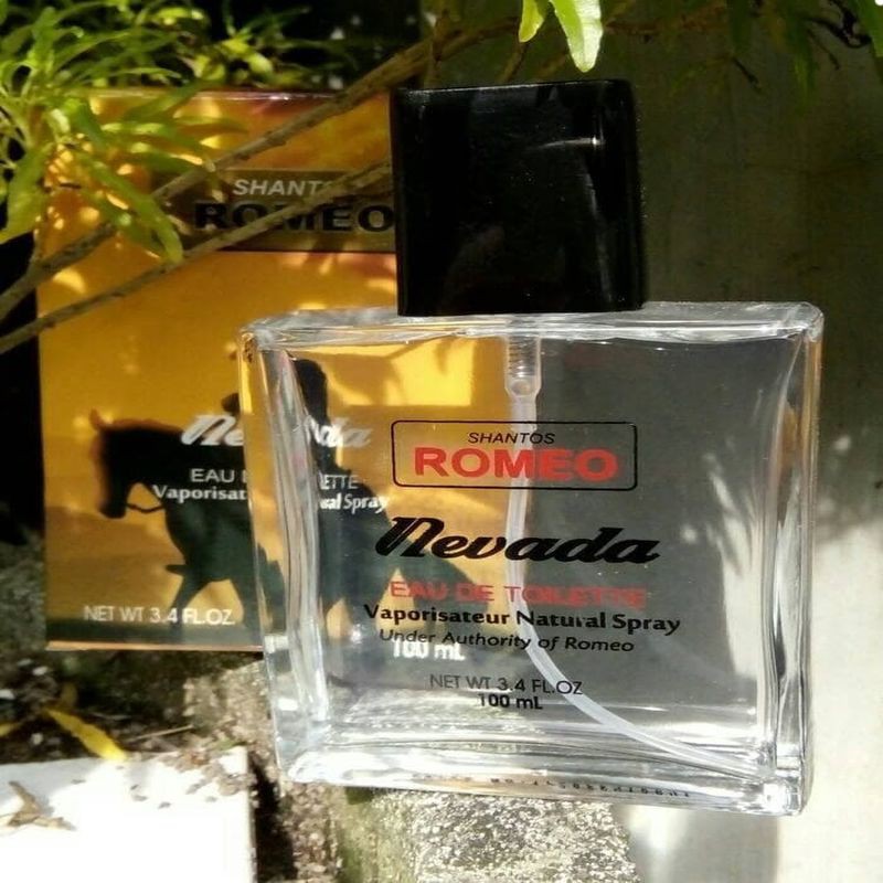 Jual PARFUM SHANTOS ROMEO NEVADA EDT 100 ml | Shopee Indonesia