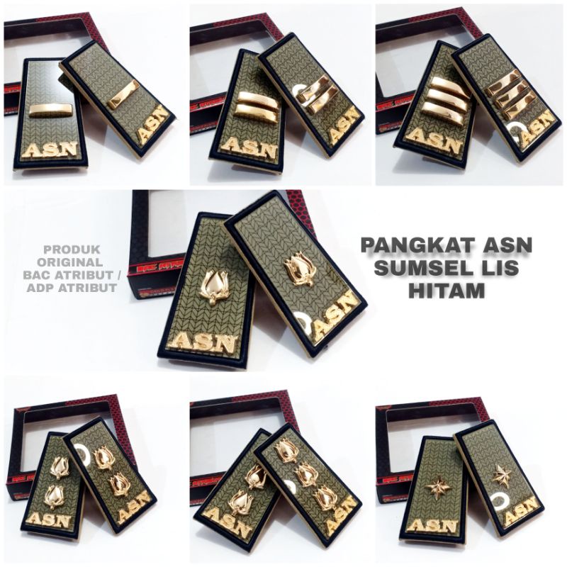 Jual Pangkat ASN Sumsel LIS HITAM Golongan 3a,3b,3c,3d,4a,4b,4c ...