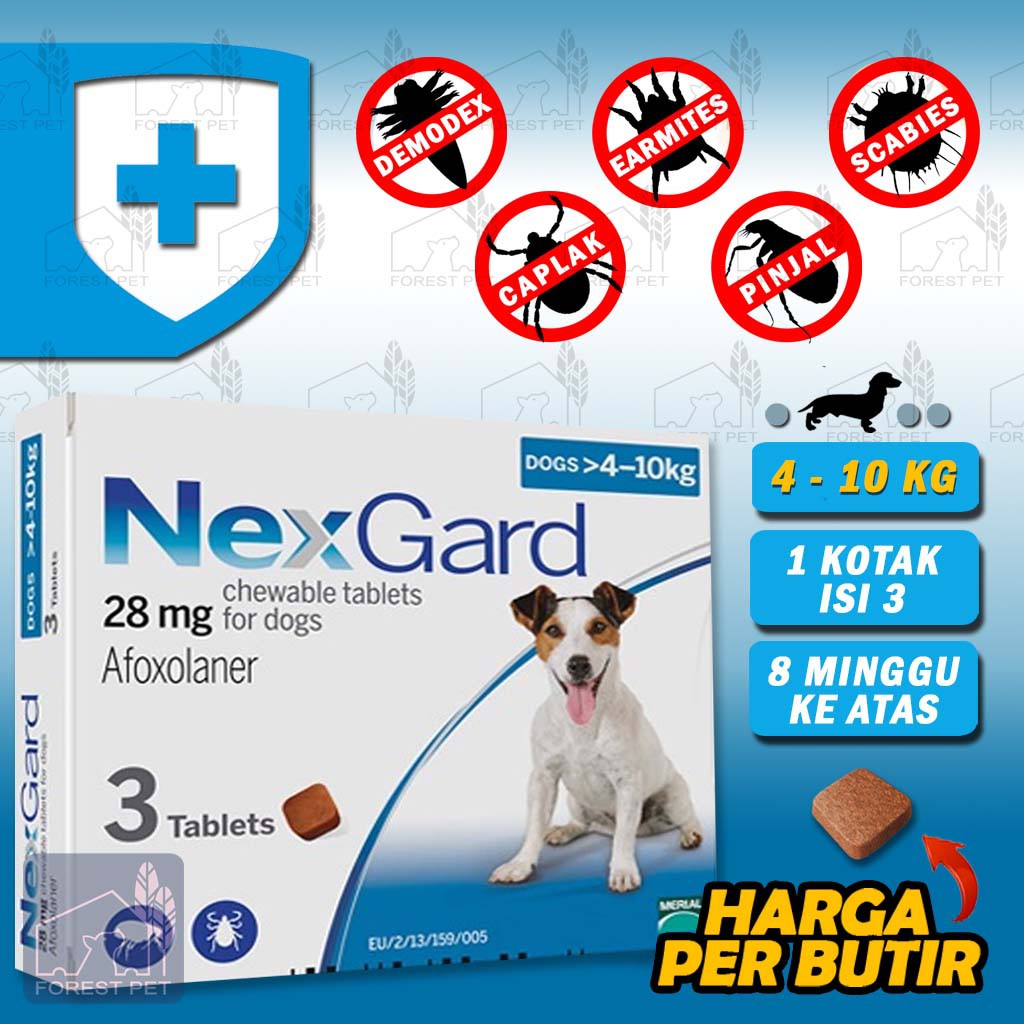 Jual Obat Kutu Anjing Nexgard 4 - 10kg / Obat Kutu Anjing / Demodex ...