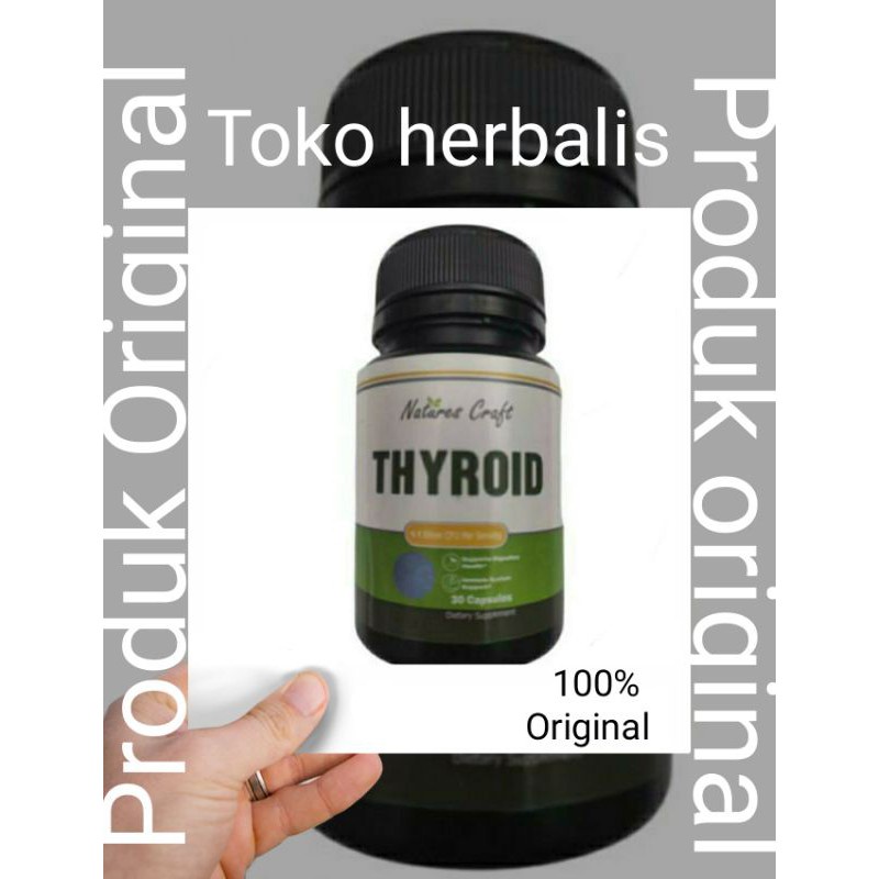 Harga Thyroid Terbaru Mei 2022 | BigGo Indonesia