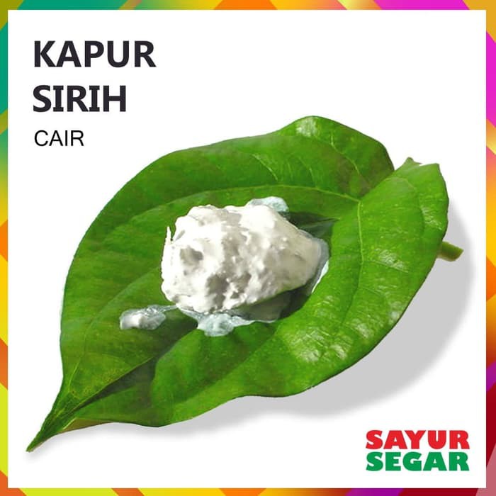 Jual Kapur Sirih [1 Pack] | Shopee Indonesia