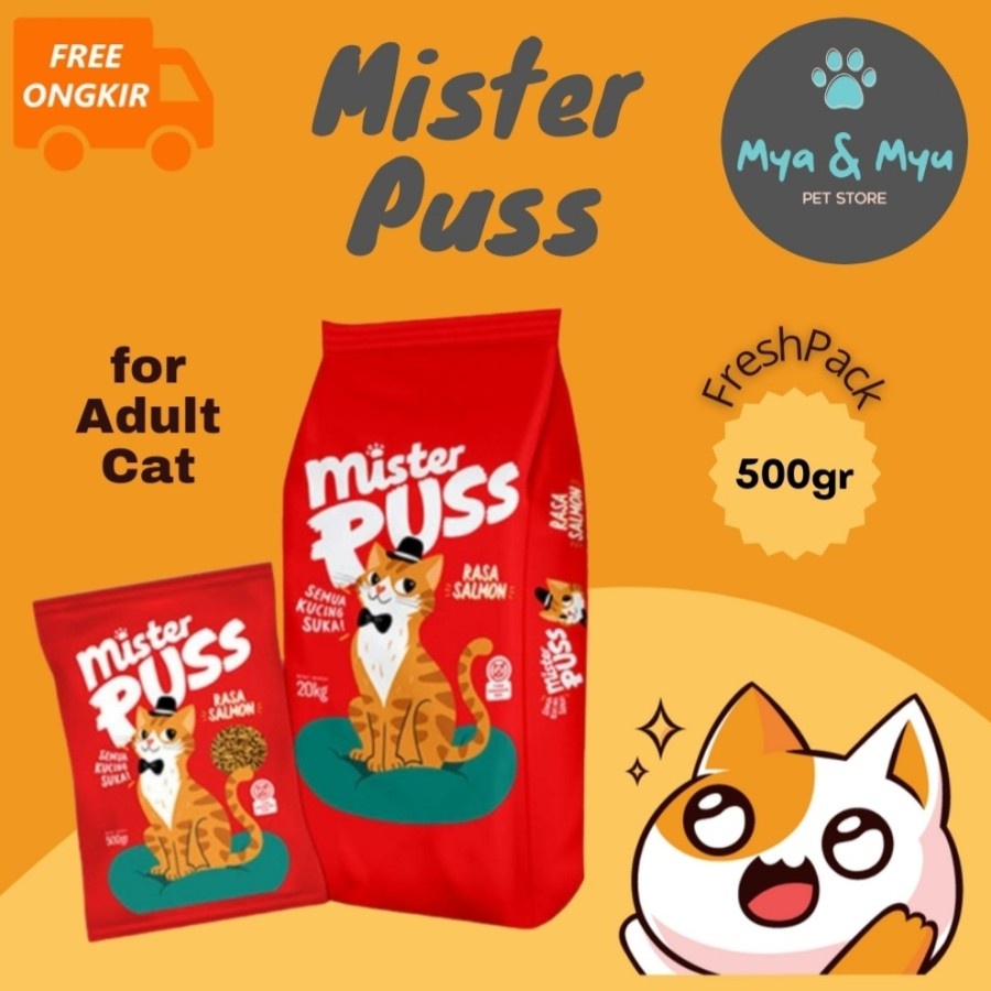 Jual Mister Puss 500 gram Salmon Dry Cat Food Makanan Kering Kucing ...