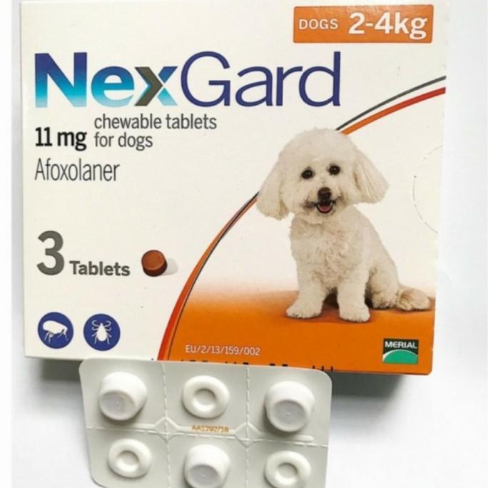 Harga Nexgard Kutu Kucing Terbaru Desember 2023 |BigGo Indonesia
