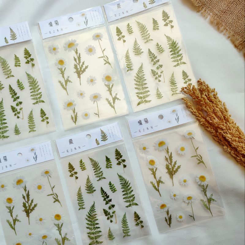 Jual Sticker Transparant Flowers Leaves Daisy Pakis Sticker Aesthetic ...