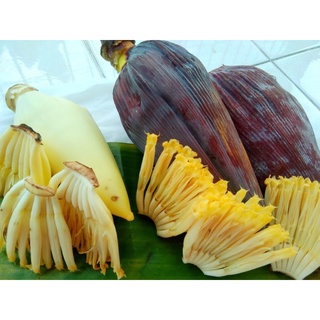 Jual Botok Ontong (jantung pisang) | Shopee Indonesia