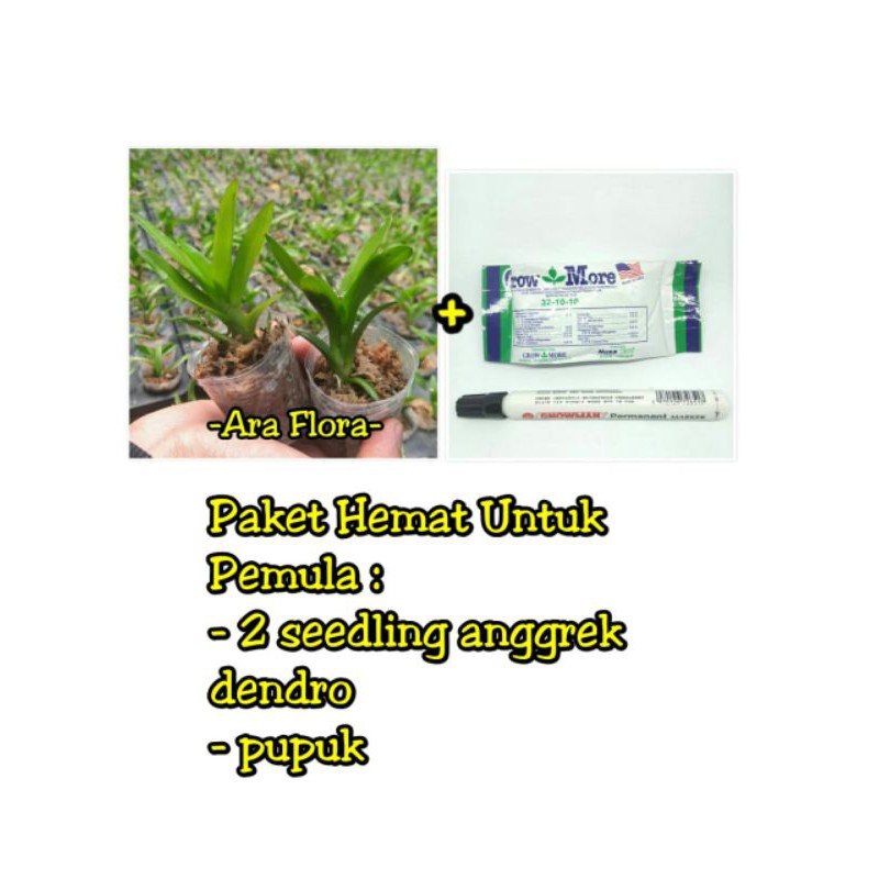 Jual Paket hemat pemula: 2 seedling anggrek dendro + 1 pupuk ... Jual Paket hemat pemula: 2 seedling anggrek dendro + 1 pupuk ...
