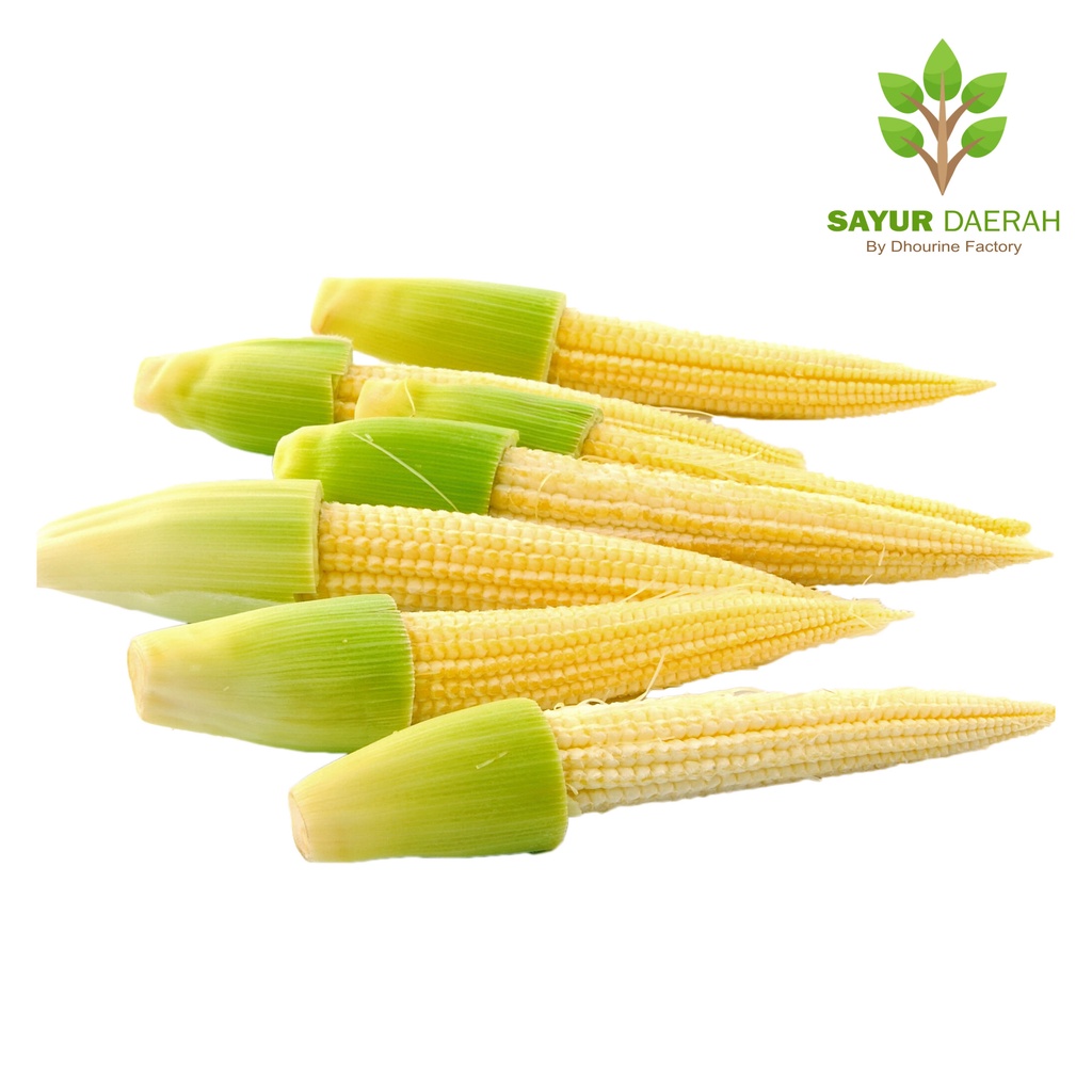 Jual Jagung Semi Baby 500 Gr | Sayur Daerah | Shopee Indonesia