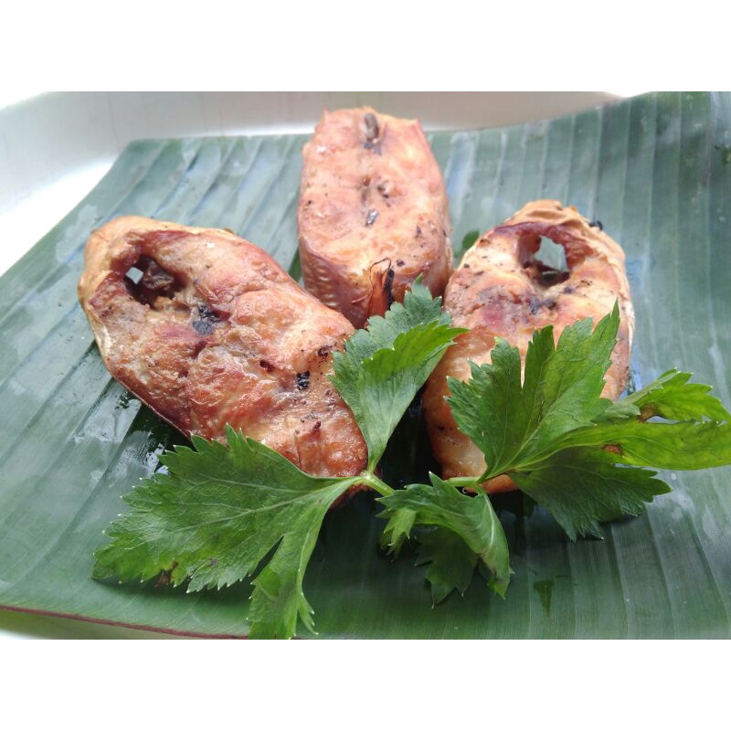 Jual ikan tonang Harga Terbaik & Termurah Maret 2023 | Shopee Indonesia