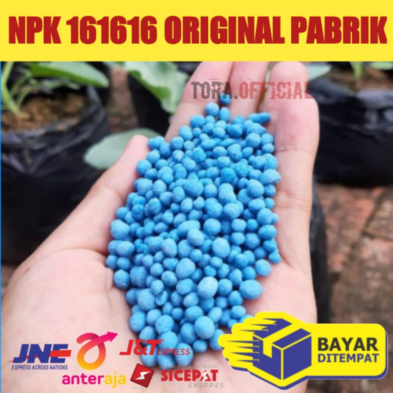 Jual PUPUK NPK 161616 Original Pabrik Cocok untuk semua tanaman Kemasan ...