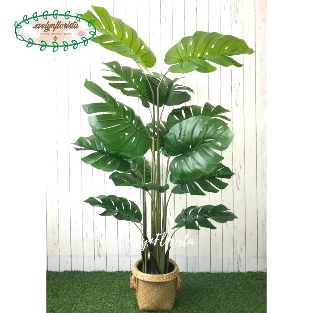 Jual Pohon Hias Daun Monstera T150 Latex Artificial Cover Pot Anyaman ...