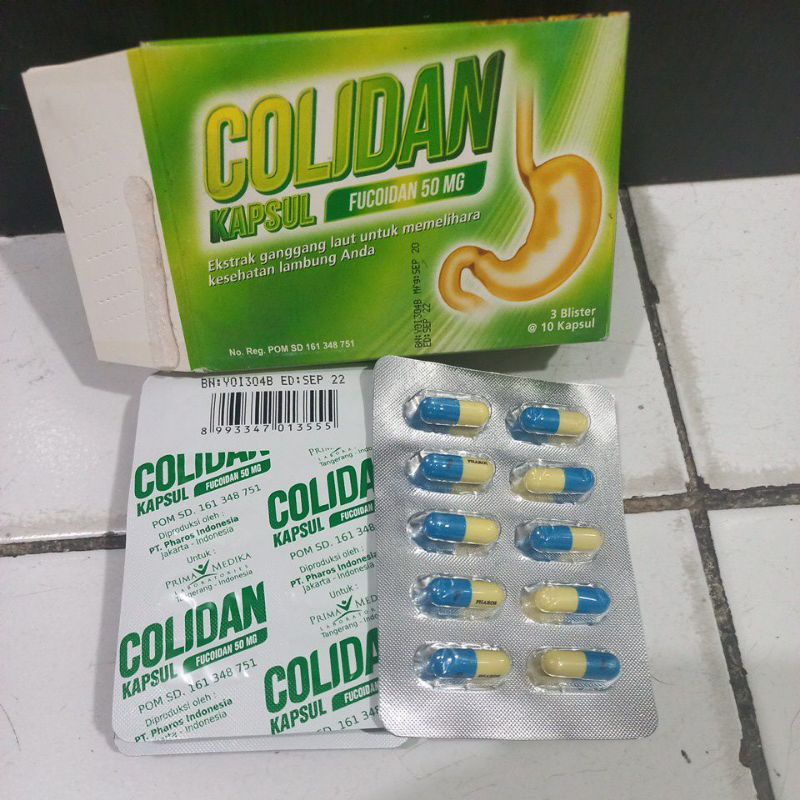 Harga Colidan Terbaru November 2023 |BigGo Indonesia