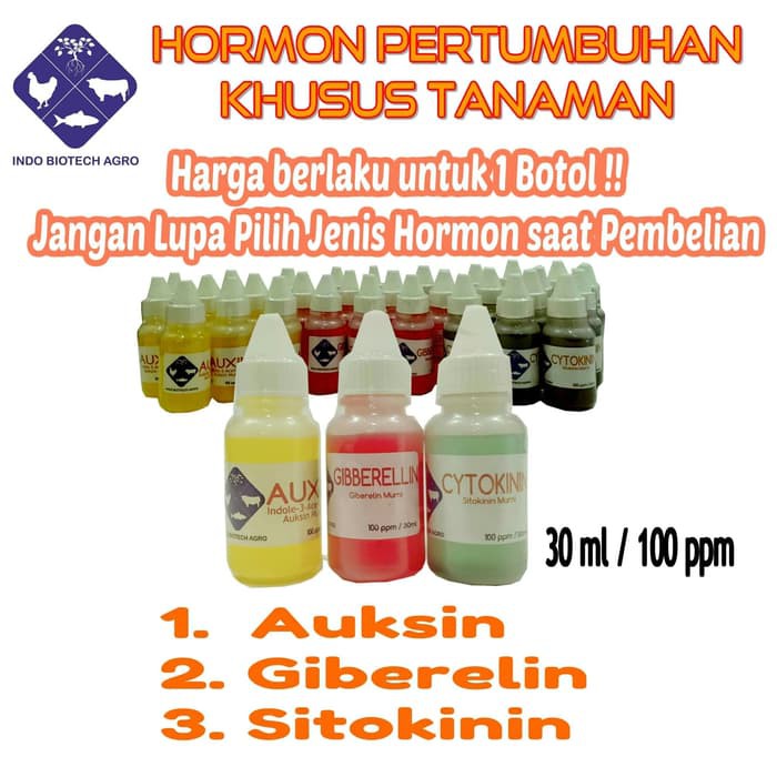Jual Hormon Tanaman Auksin Giberelin Sitokinin 100 ppm 30 ml ...