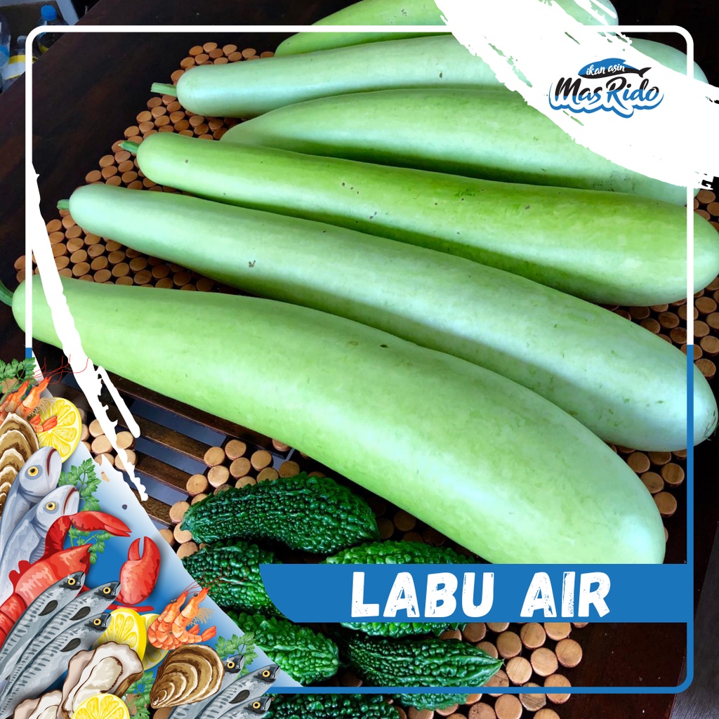 Jual LABU AIR PANJANG PUTIH SEGAR FRESH KWALITAS SUPER HARGA MURAH PER ...