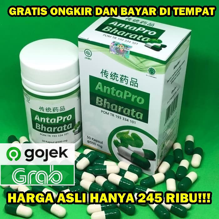 Jual BEST SELLER!!! Antapro Obat Saraf Kejepit Darah Tinggi Kolestrol ...