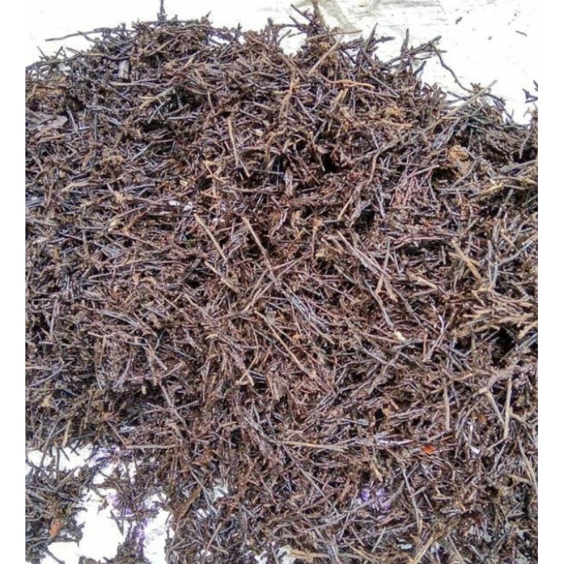 Jual media tanam pakis cacah kering | Shopee Indonesia