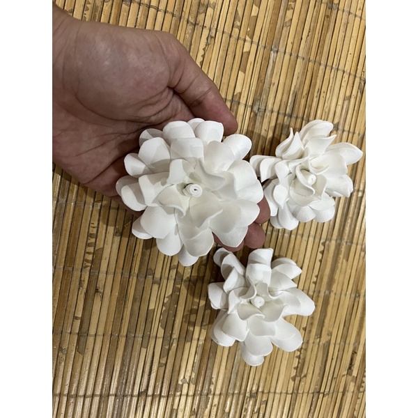 Jual Bunga Jempiring Putih Bali | Shopee Indonesia