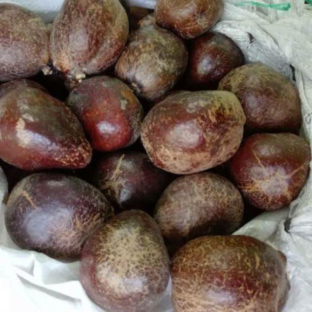 1 kg Buah Dzuriat Single Madinah / Buah Zuriat / Buah Doum / Buah Adam ...