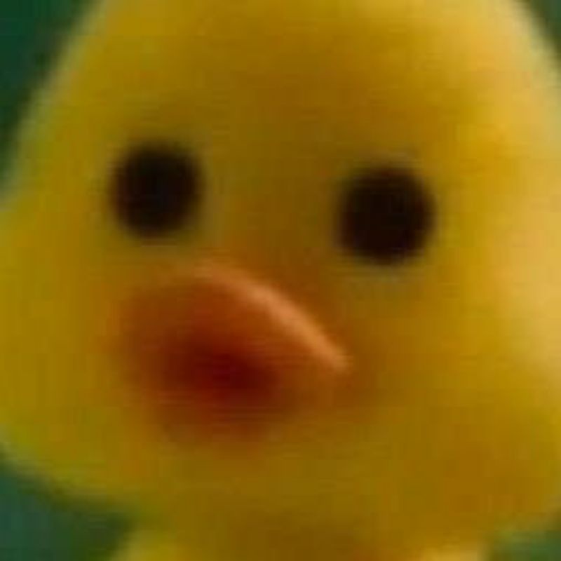 Jual stiker bebek | Shopee Indonesia