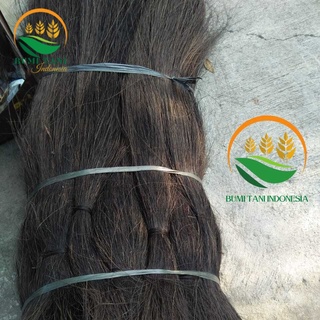 Jual ijuk untuk filter air Harga Terbaik & Termurah Februari 2023 ...
