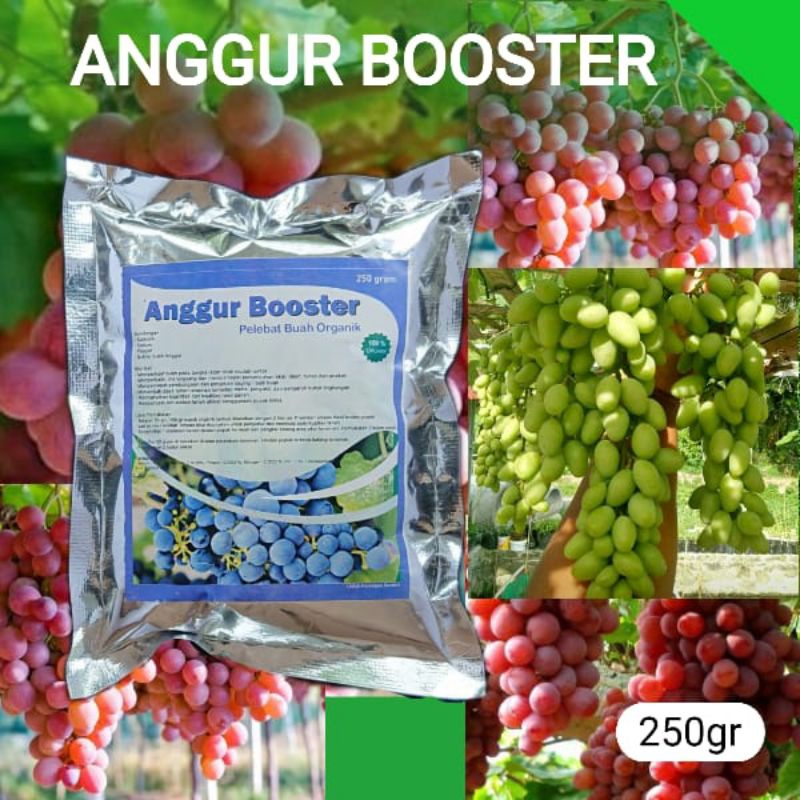 Jual Pupuk Organik Booster anggur Perangsang Buah Serbuk Terbaik Ampuh Agar Cepat Berbuah Lebat ...
