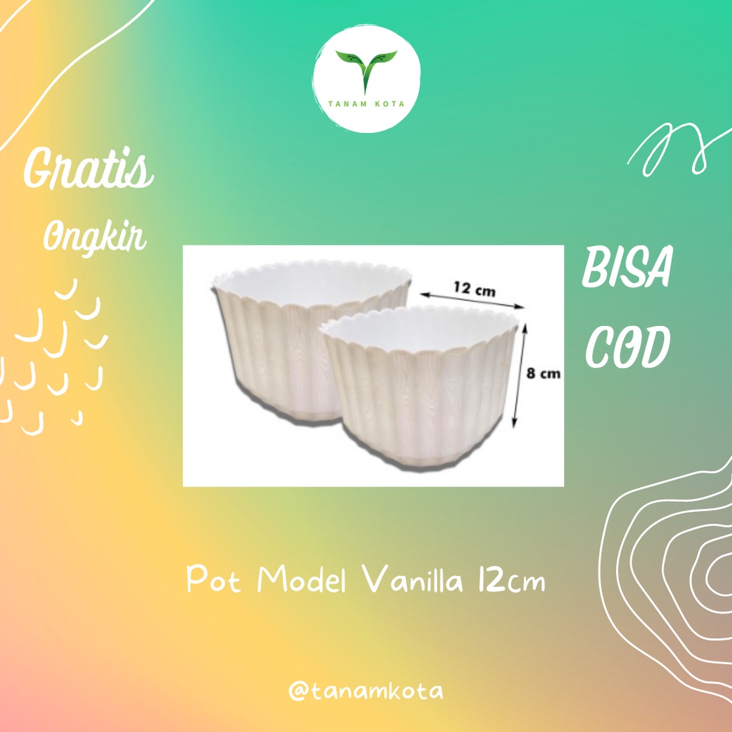 Jual Pot Bunga Model Vanilla 12 Cm Kaktus Aesthetic Anggrek Minimalis ...