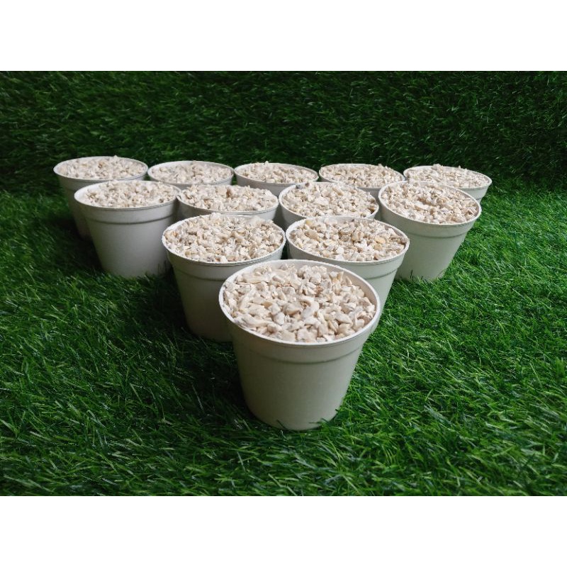 Jual Pot mini // Pot diameter 8 // sudah terpasang busa dan batu ...