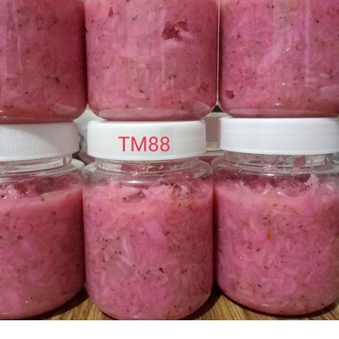 Jual 10.10 STOK READY HAKOI/HE KOI/CENCALOK MINI KHAS DARI KALIMANTAN ...