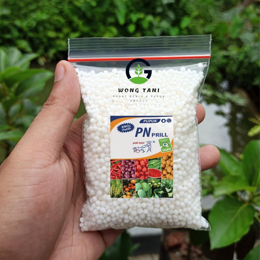 Jual Pupuk KNO3 Putih PN Prill Pak Tani Repack 200 Gram | Shopee Indonesia