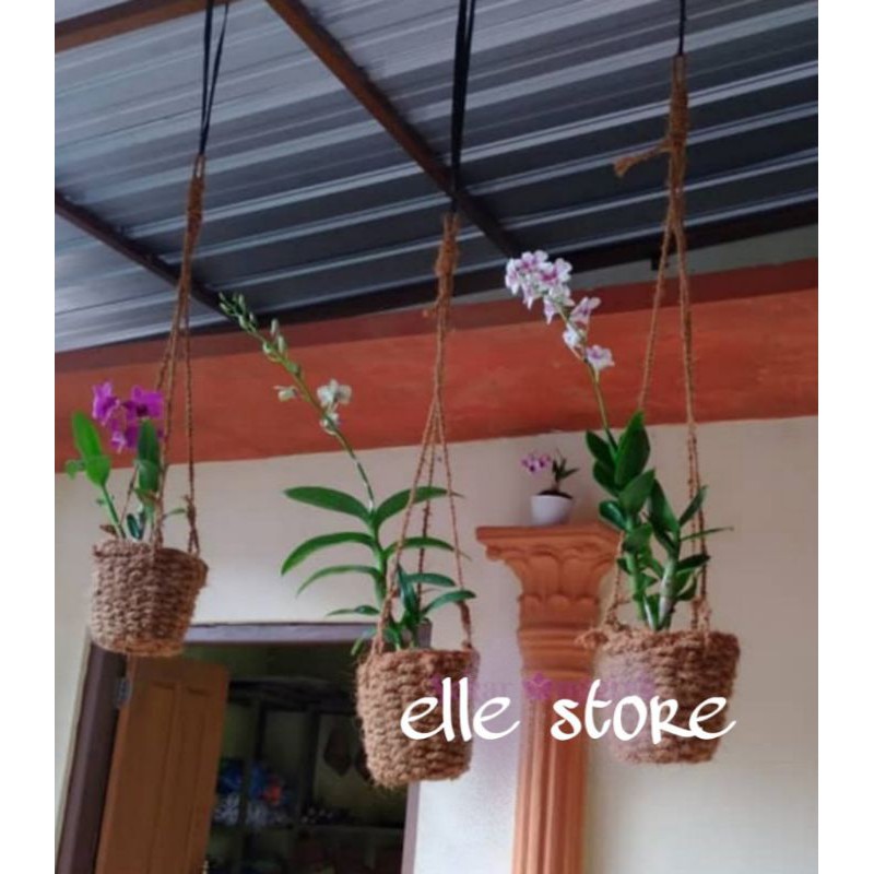 Jual POT GANTUNG/POT ANGGREK/POT ANGGREK SABUT KELAPA/POT TANAMAN UNIK ...