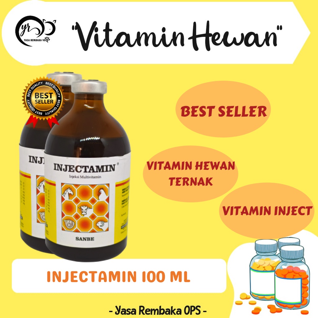 Jual INJECTAMIN 100ml - Multivitamin injeksi Sapi & Kambing | Shopee ...