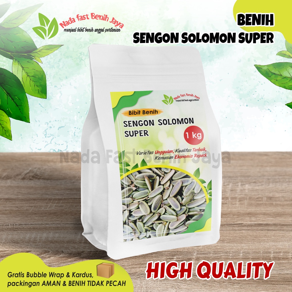 Jual Benih pohon sengon solomon super 1 kg - + 20.000 biji / benih ...