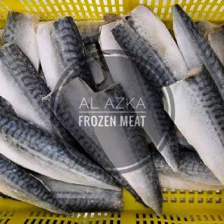Jual lkan Makarel Fillet Grade B / Ikan Saba / Mackerel Fillet / Ikan ...