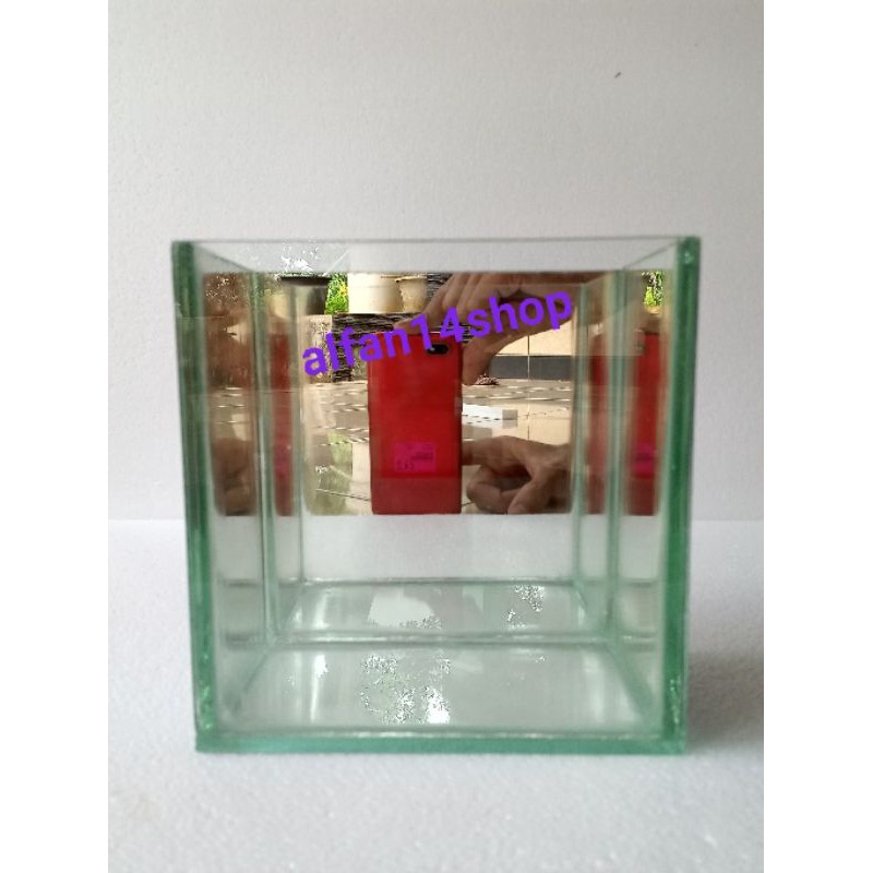 Jual Soliter cupang soliter selfi soliter tiga sisi soliter cermin ...