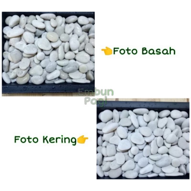 Jual batu koral putih 1kg | Shopee Indonesia