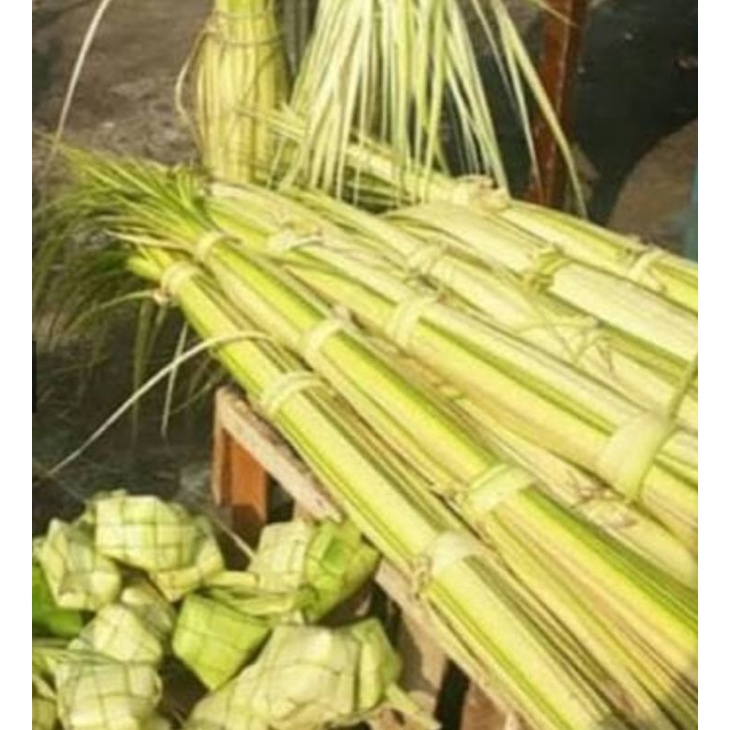 Jual JANUR KUNING SEGAR | DAUN JANUR KUNING (1kg ) | Shopee Indonesia