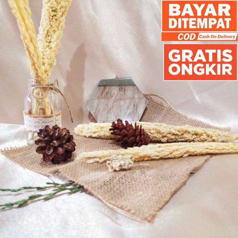 Jual Properti Foto Produk Aesthetic - Basic Photography Kit - FREE ...